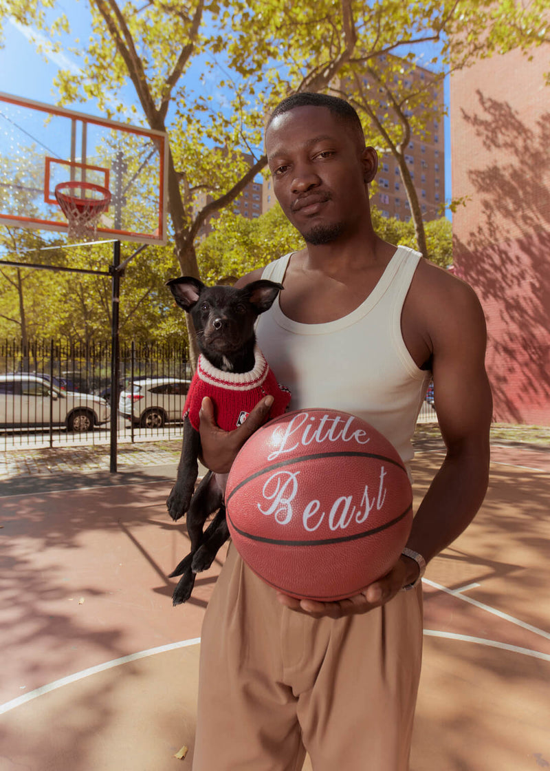 NBA X LITTLE BEAST