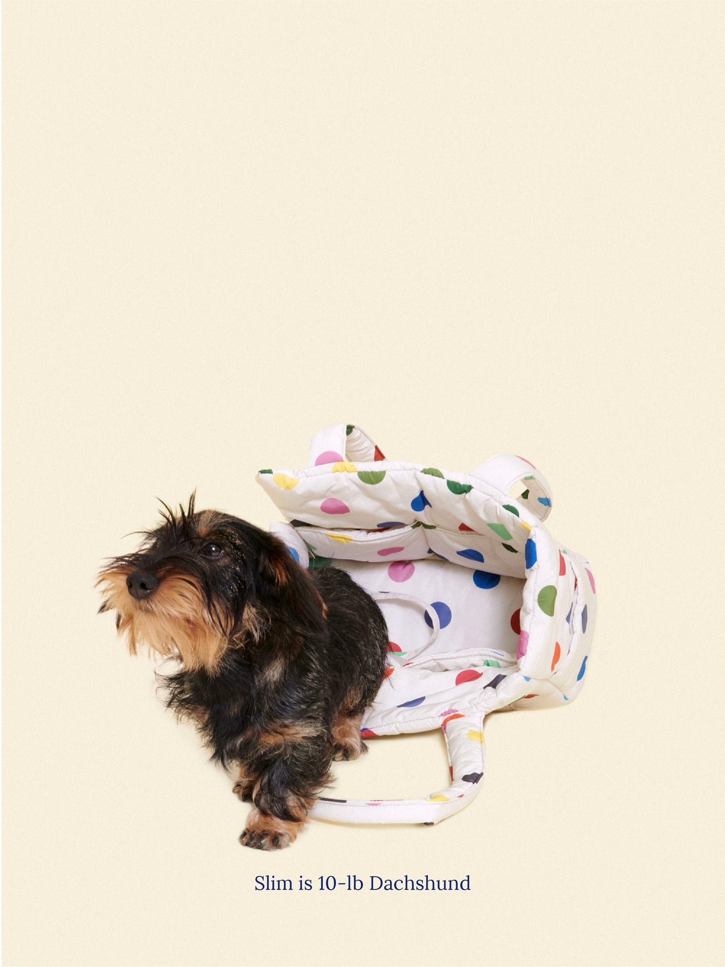 The Little Beast Carrier - Damien