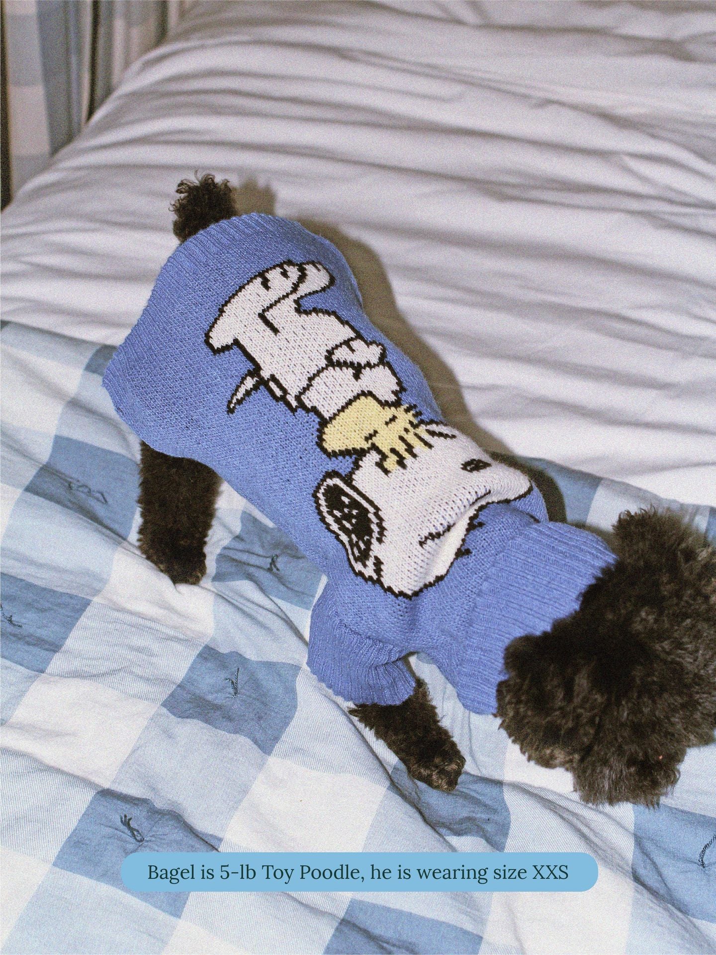 Dog Clothes & Apparel by Little Beast