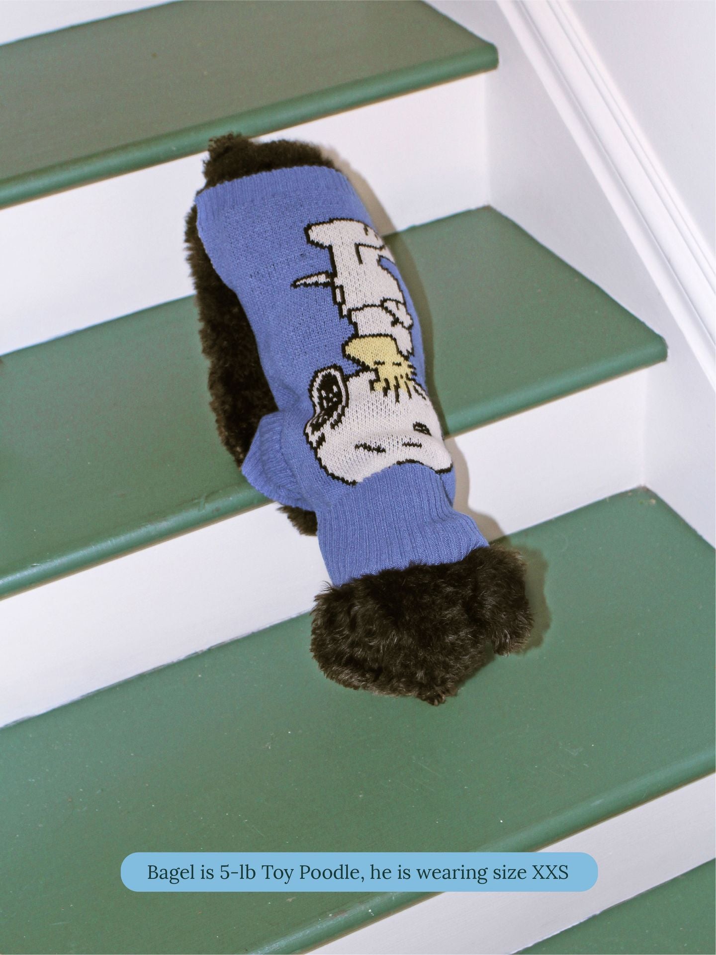 A Snoopy Sweater - PEANUTS – Little Beast