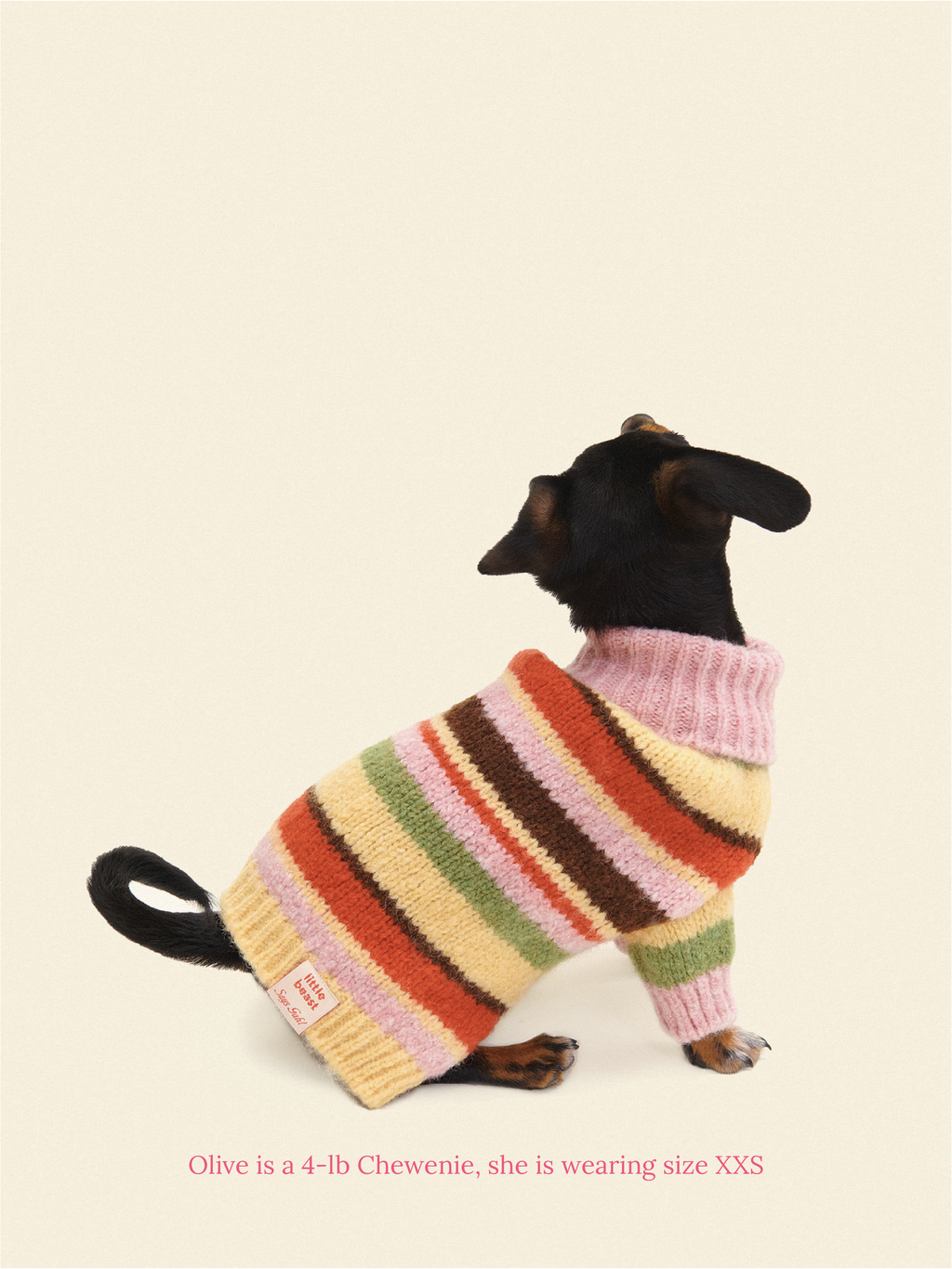 Dog Sweaters | Cute Dog Sweaters for Small to Big Dogs – Little Beast