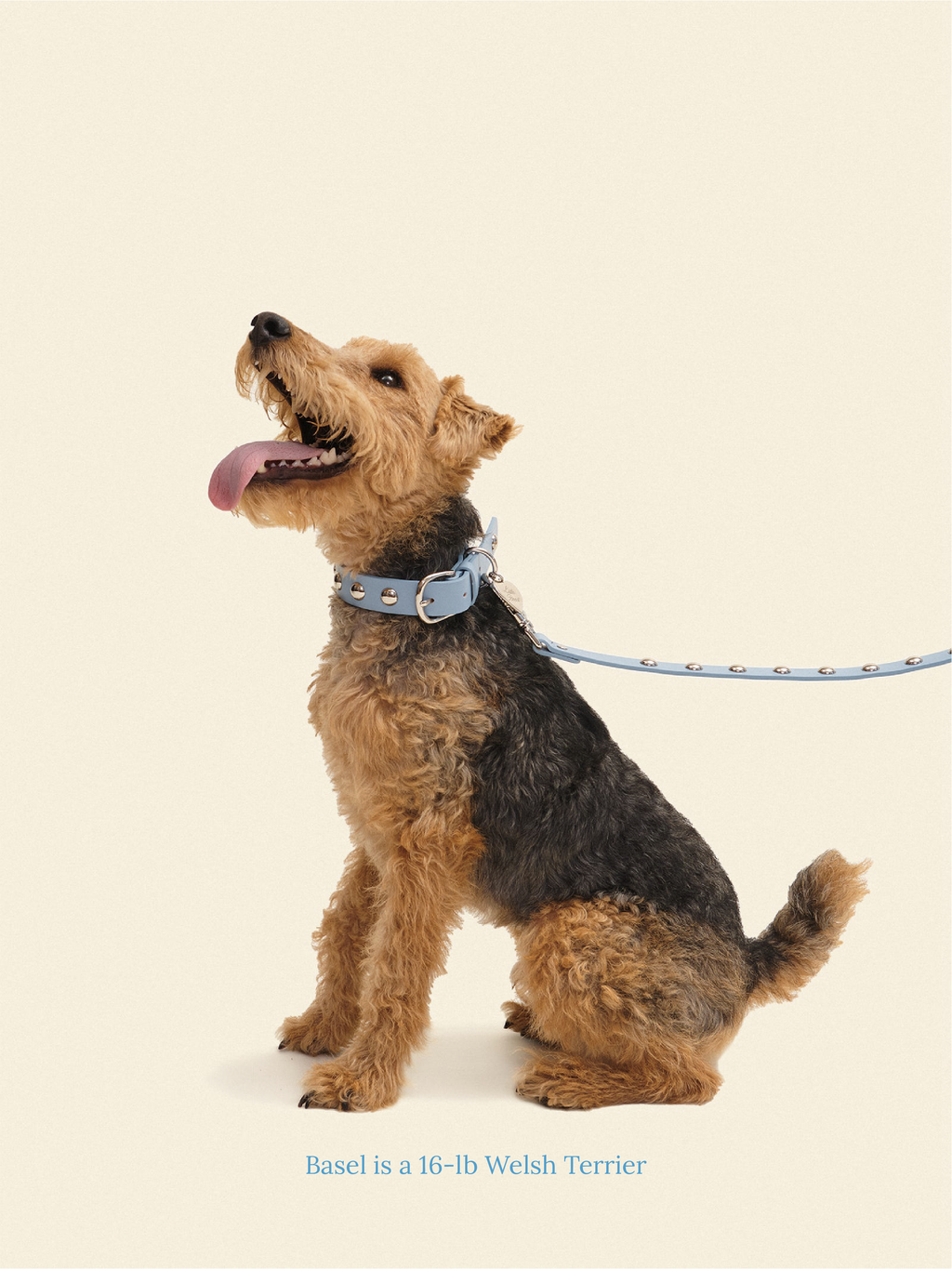 Dog Clothes & Apparel by Little Beast