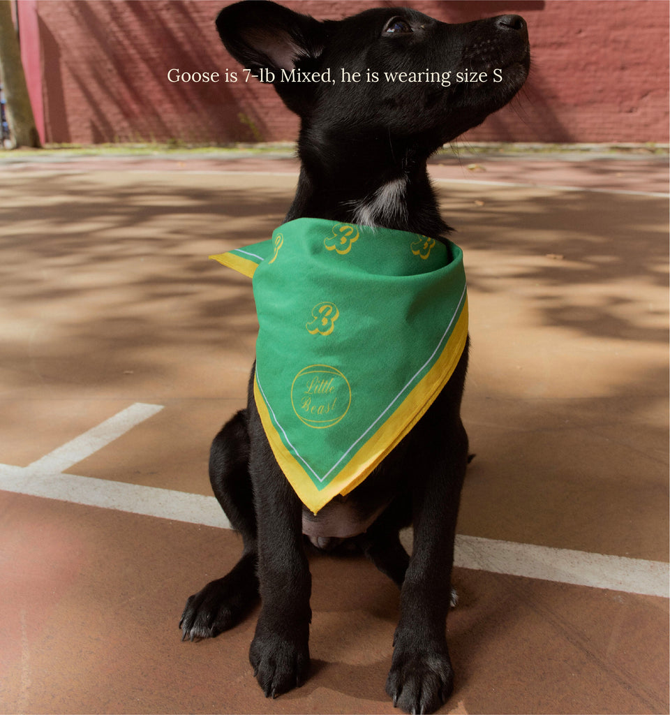 All Products – Page 2 – Little Beast