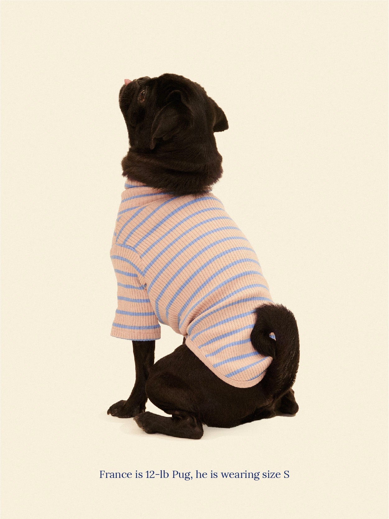 Dog Shirts – Little Beast