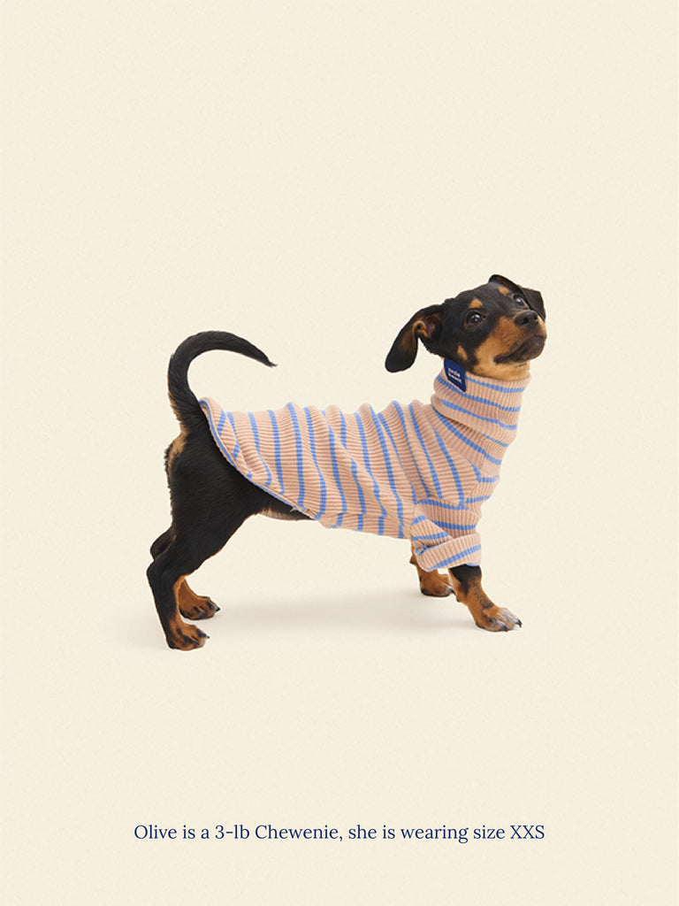 Dog Shirts – Little Beast