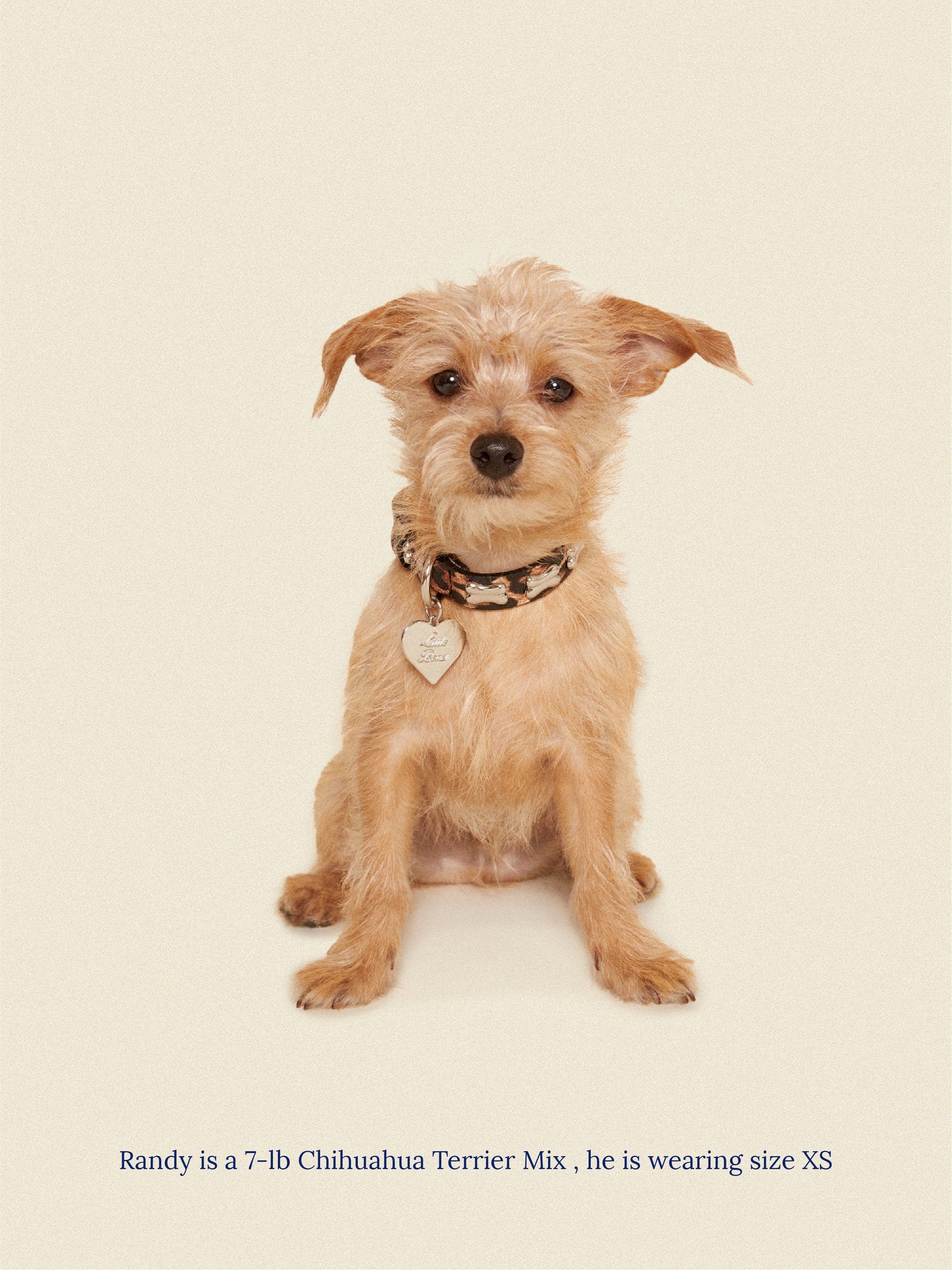Dog Clothes & Apparel by Little Beast