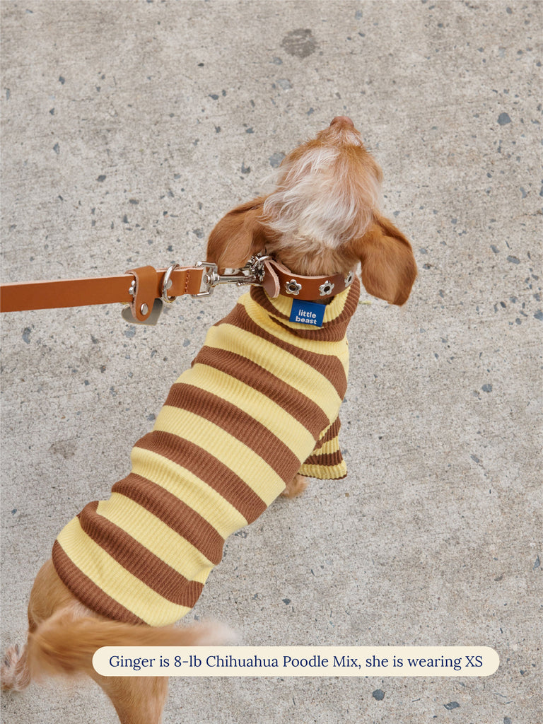 Dog Shirts – Little Beast