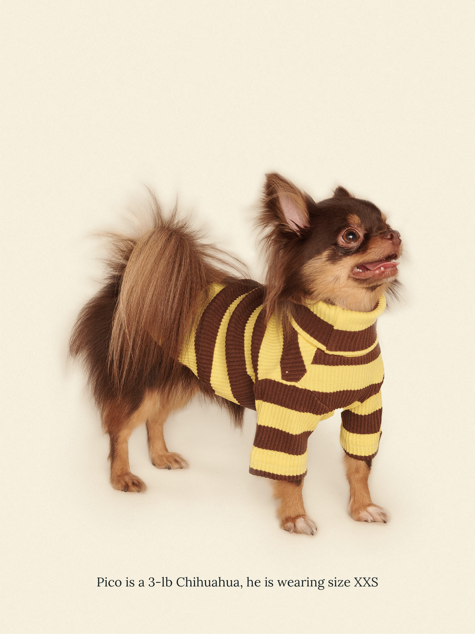 Dog Shirts – Little Beast