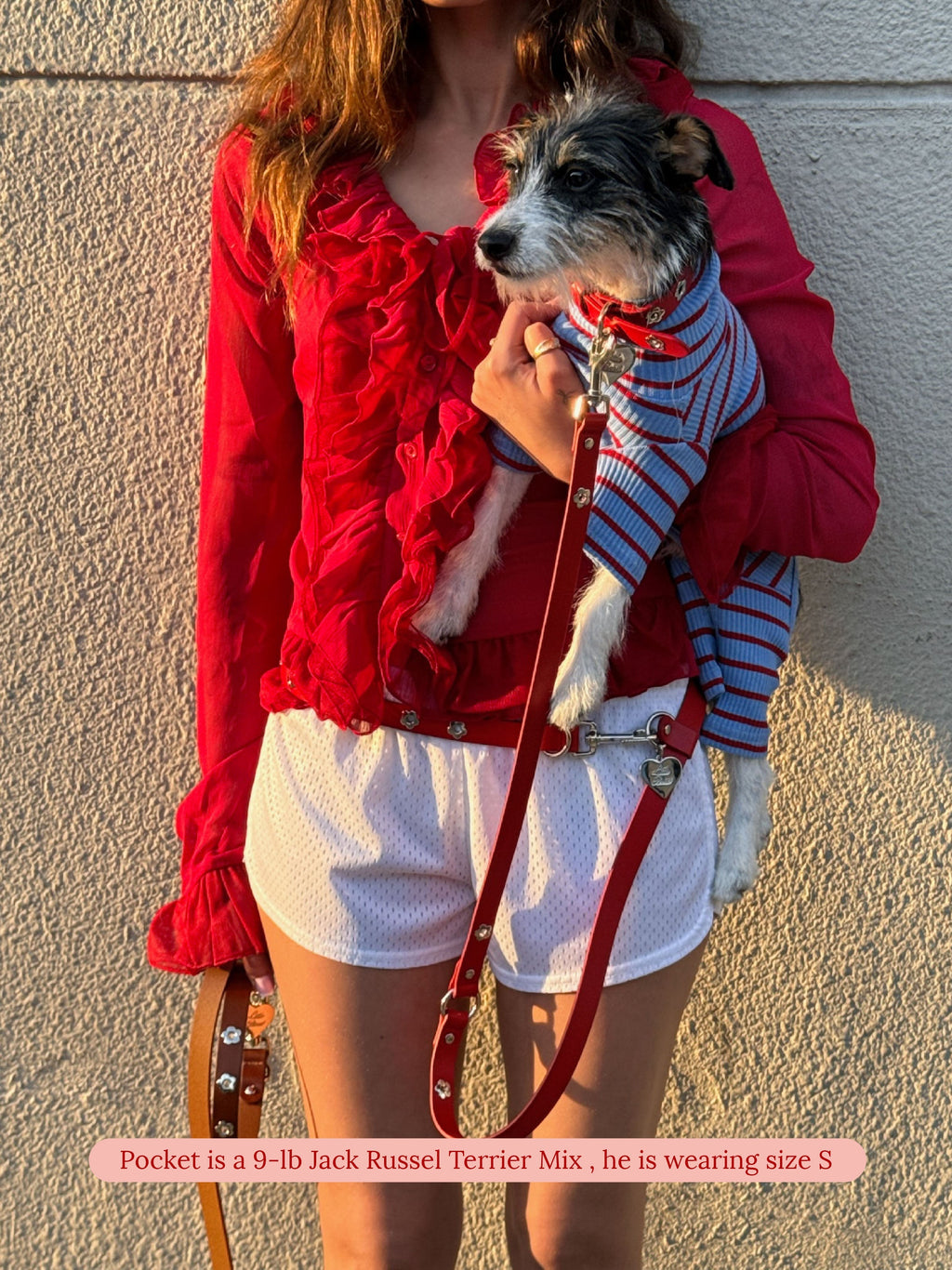 Ruby - Flower Power Collar – Little Beast