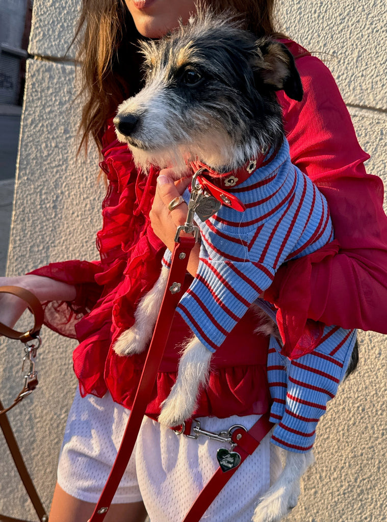 Collars and Leashes – Little Beast