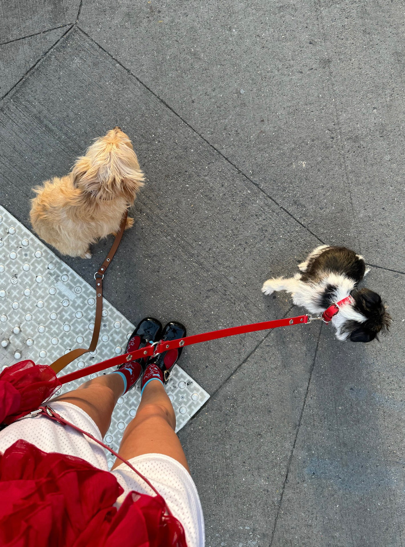 Ruby - Flower Power Leash – Little Beast