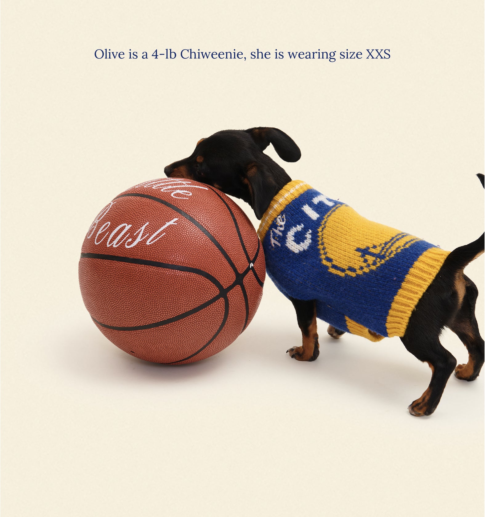 Golden State Warriors Dog Sweater - NBA – Little Beast