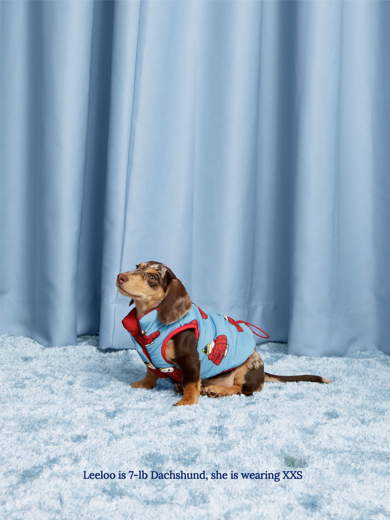Holiday Puffer Jacket - PEANUTS – Little Beast