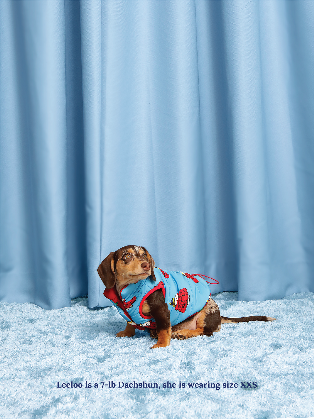 Holiday Puffer Jacket - PEANUTS – Little Beast