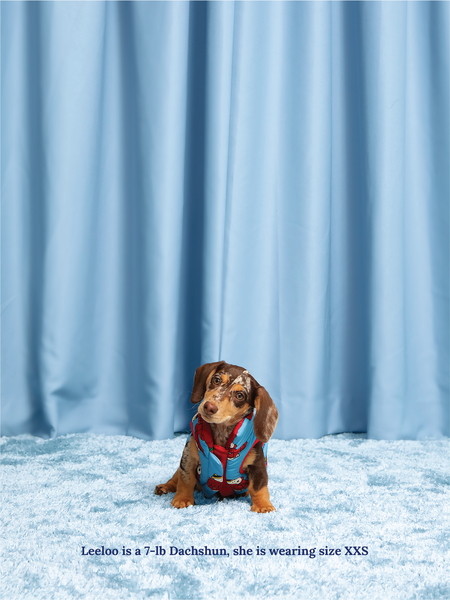 Holiday Puffer Jacket - PEANUTS – Little Beast