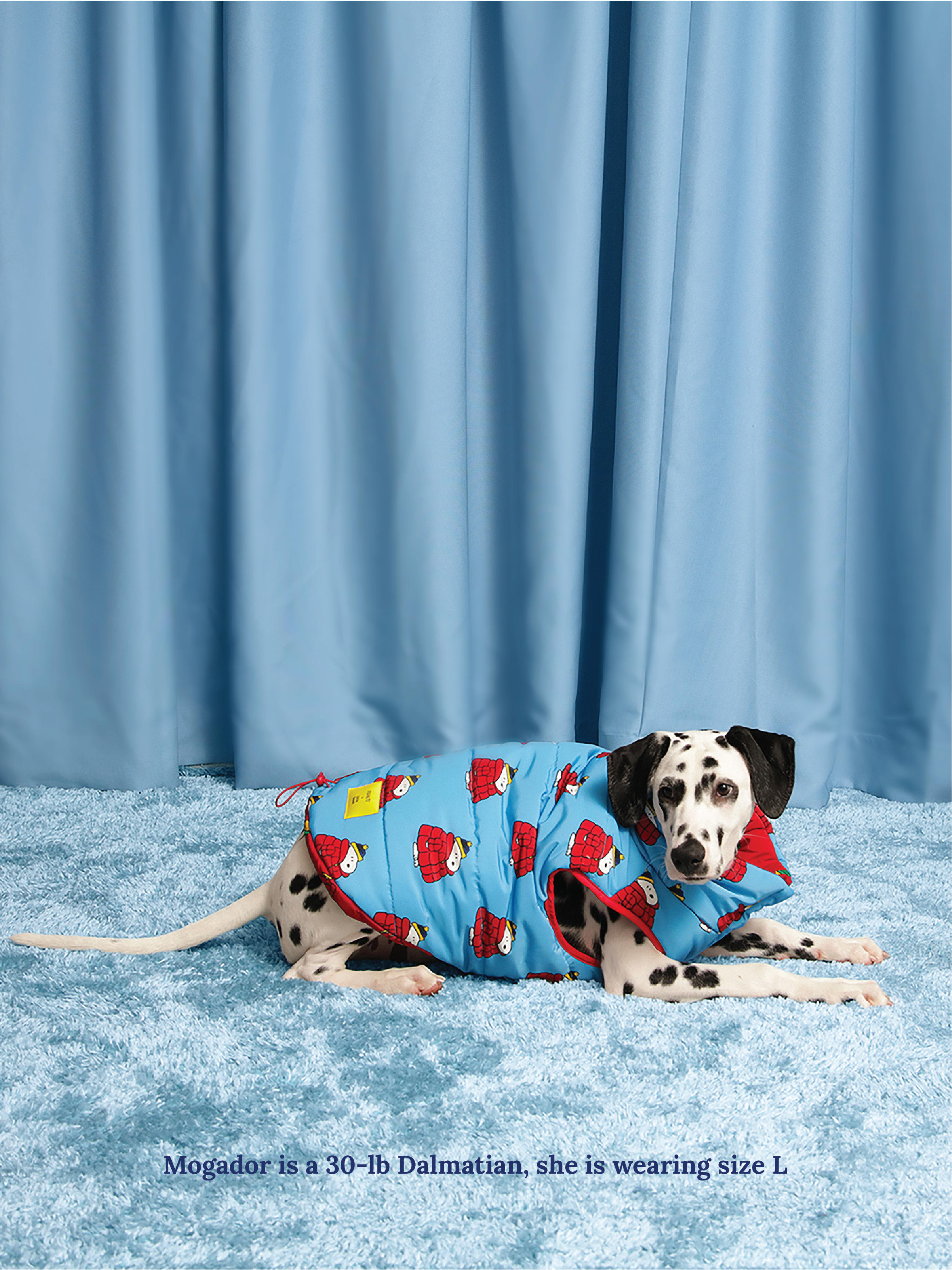 Holiday Puffer Jacket - PEANUTS – Little Beast