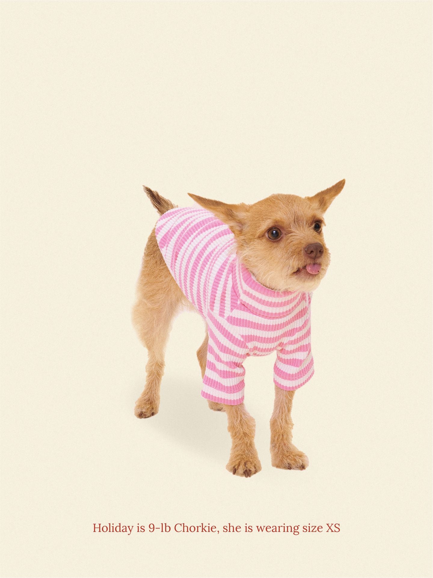 Dog Shirts – Little Beast