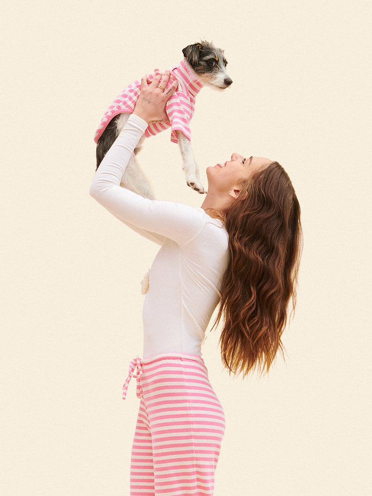 Dog Shirts – Little Beast