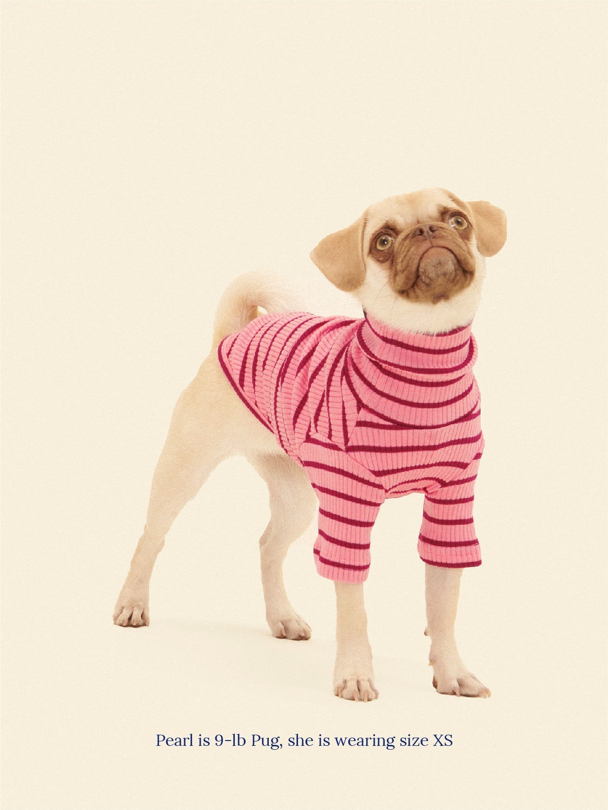 Dog Shirts – Little Beast