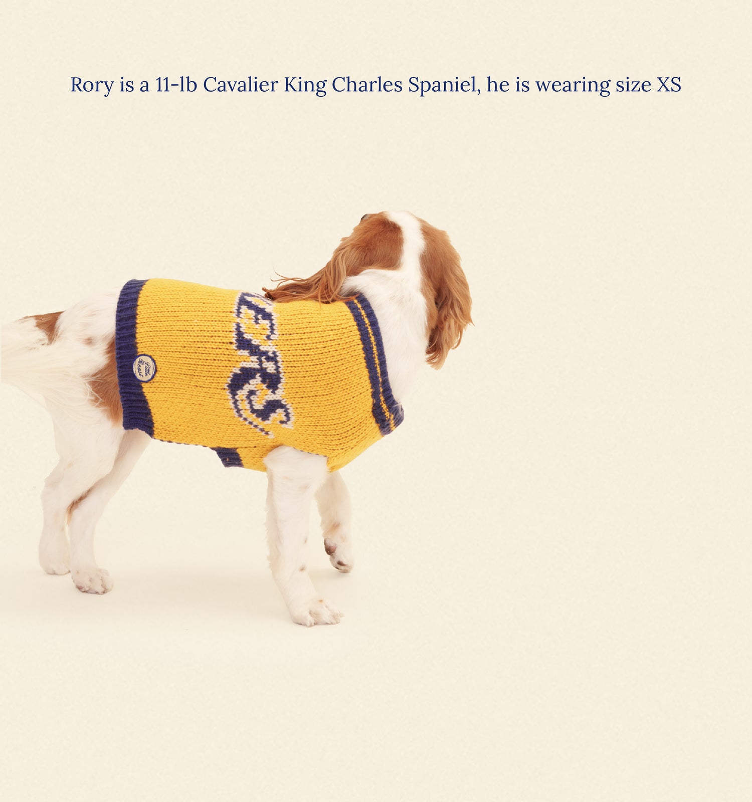 Los Angeles Lakers Dog Sweater - NBA – Little Beast