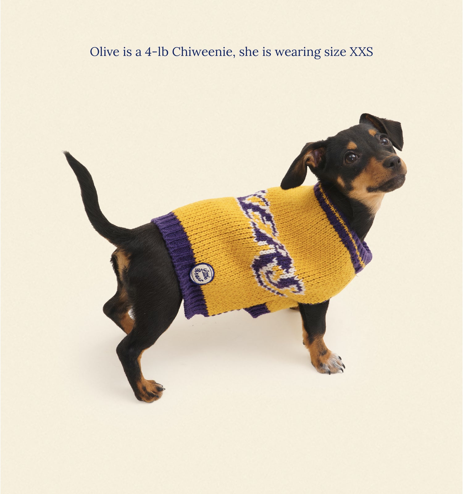 Los Angeles Lakers Dog Sweater - NBA – Little Beast