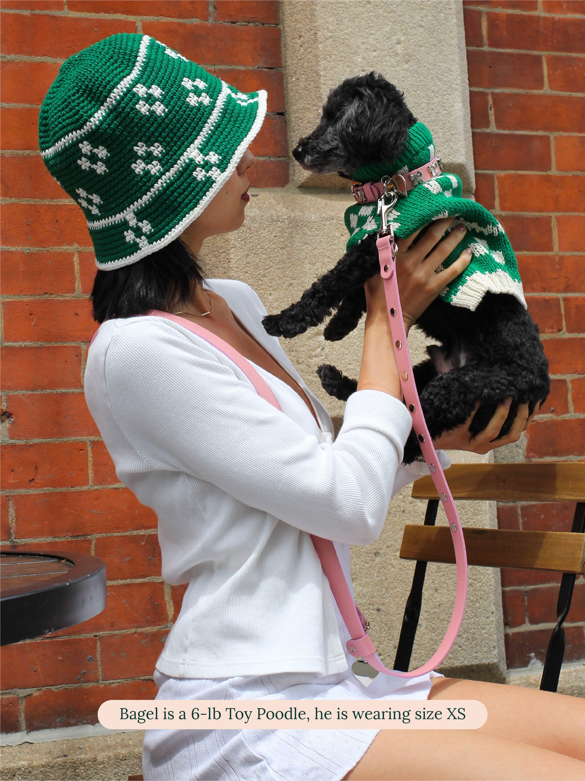 Dog Sweaters | Cute Dog Sweaters for Small to Big Dogs – Little Beast