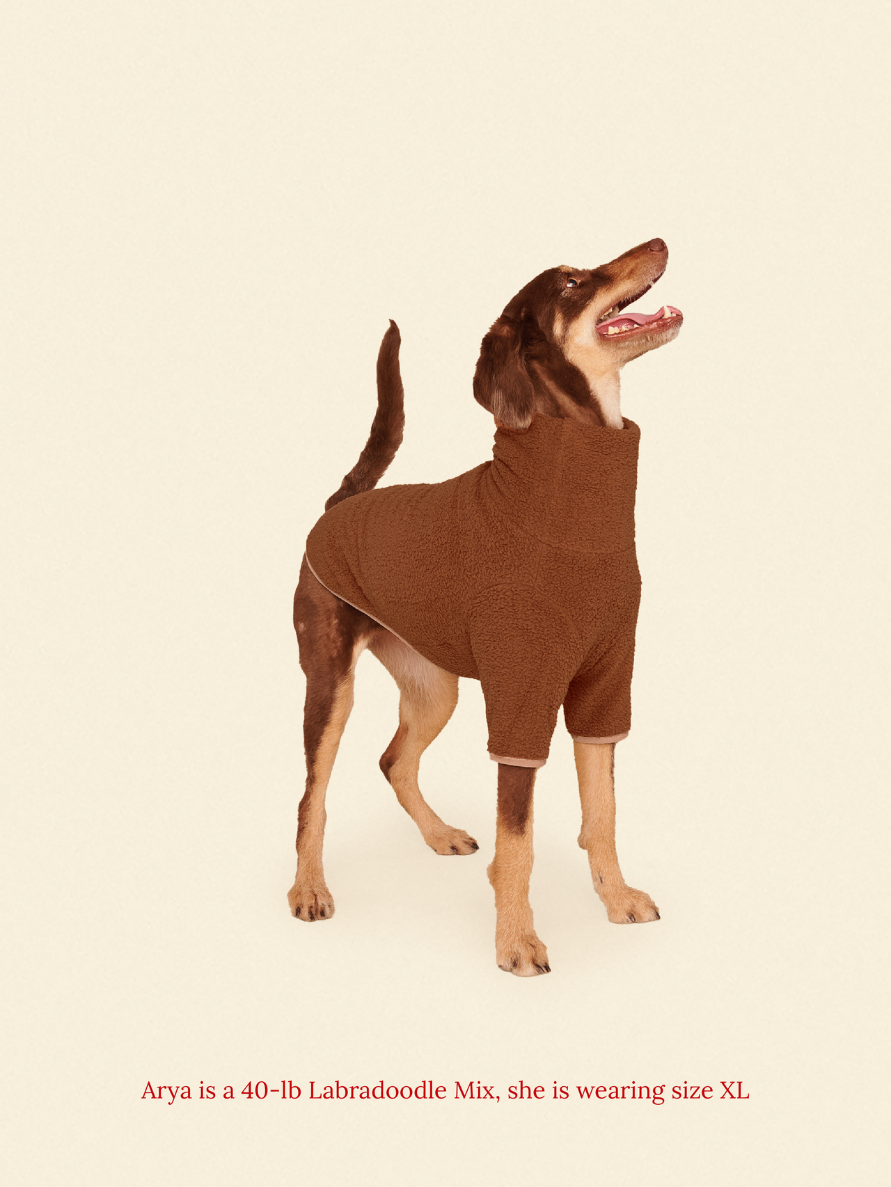 Wear – Little Beast