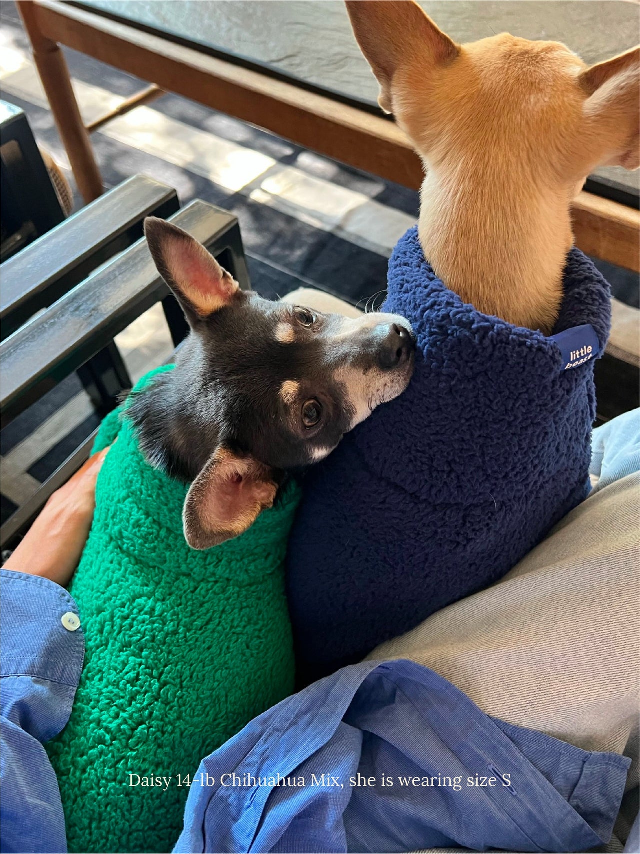 All Products – Little Beast