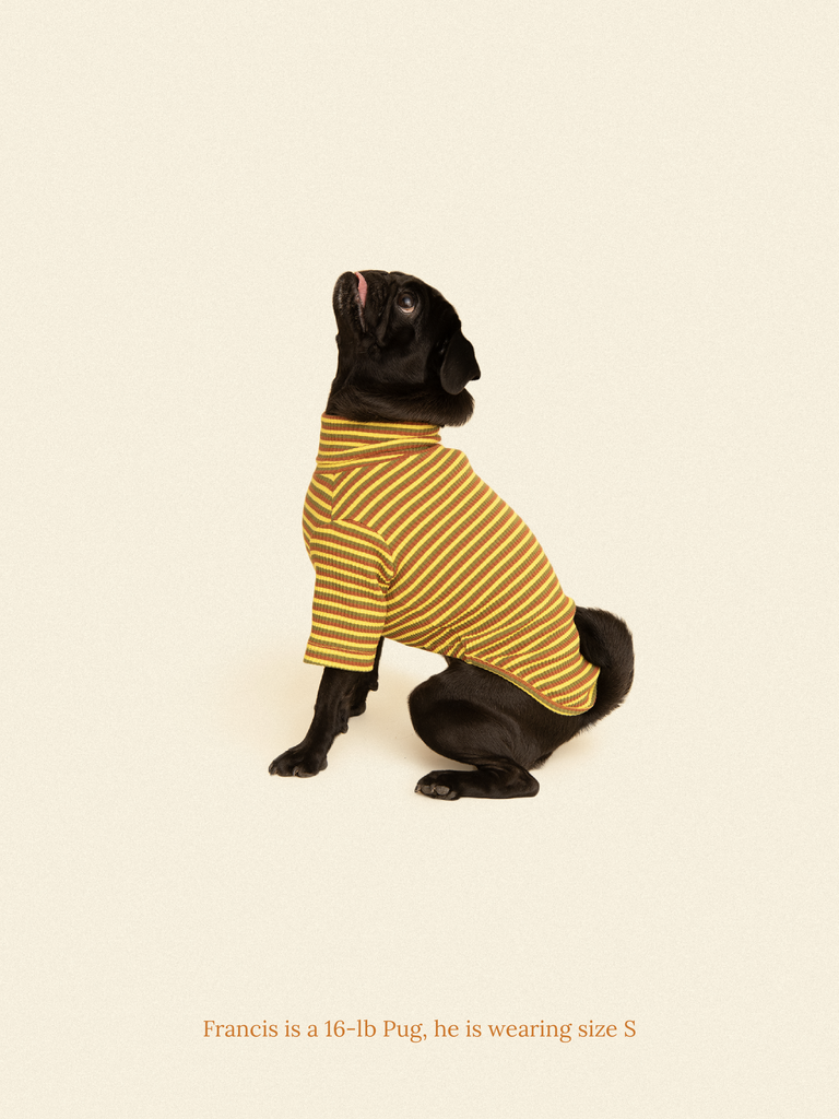 Dog Shirts – Little Beast