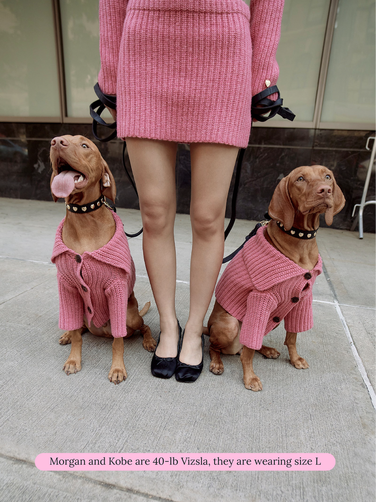 Dog Sweaters | Cute Dog Sweaters for Small to Big Dogs – Little Beast