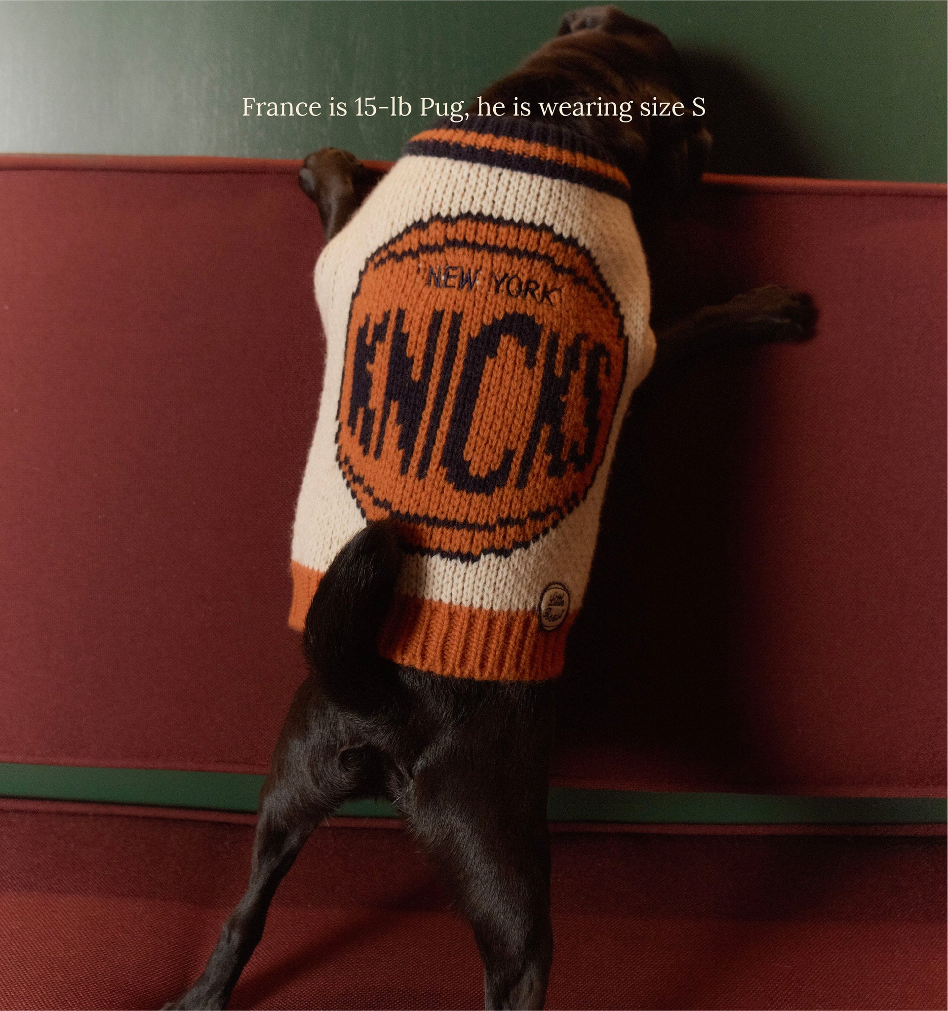 New York Knicks Dog Sweater - NBA – Little Beast