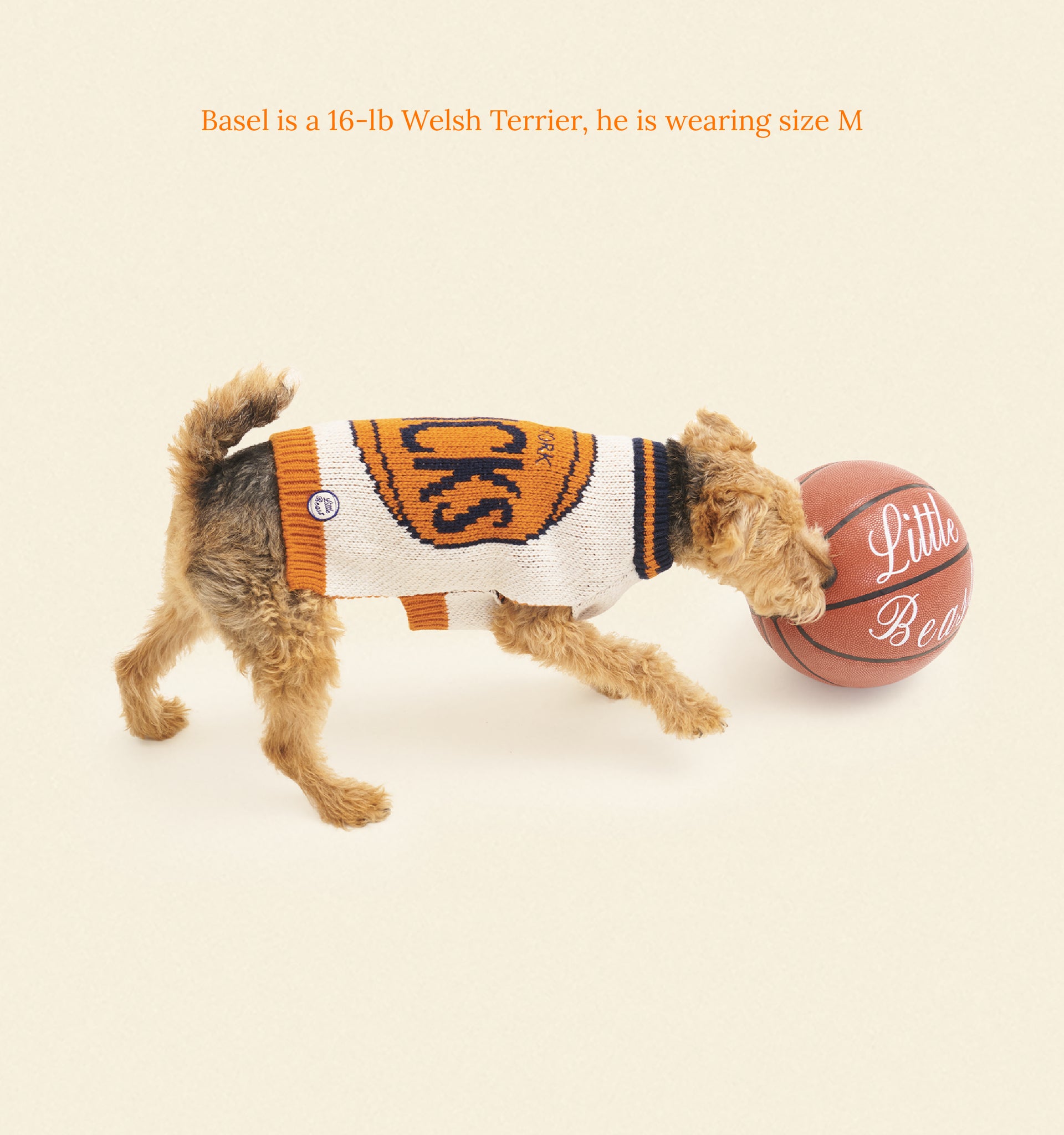 New York Knicks Dog Sweater - NBA – Little Beast