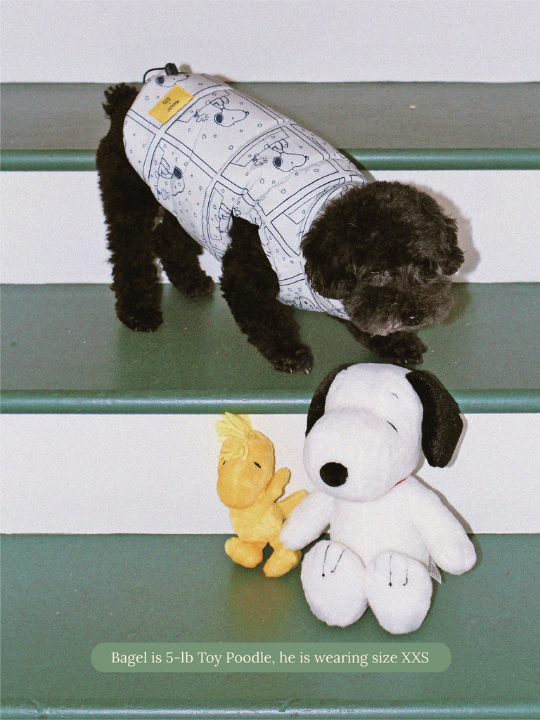 Dog Jackets and Parkas – Little Beast