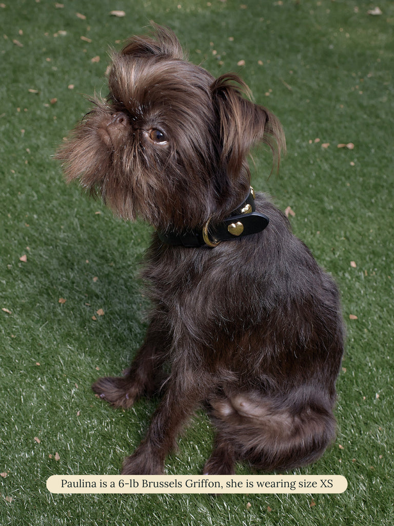 SANDY LIANG X LITTLE BEAST – Little Beast