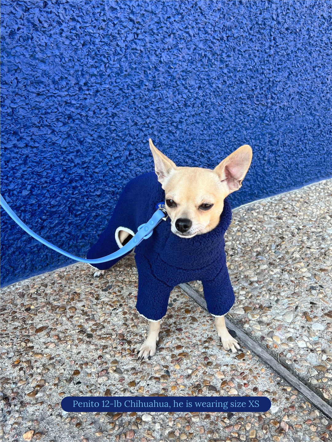 Royal Fleece Onesie – Little Beast