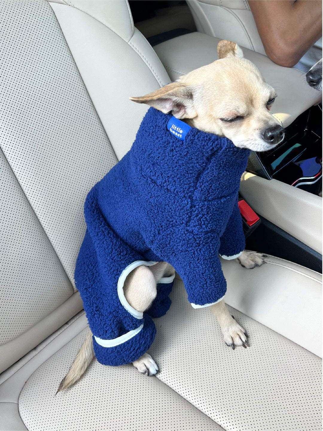 Royal Fleece Onesie – Little Beast