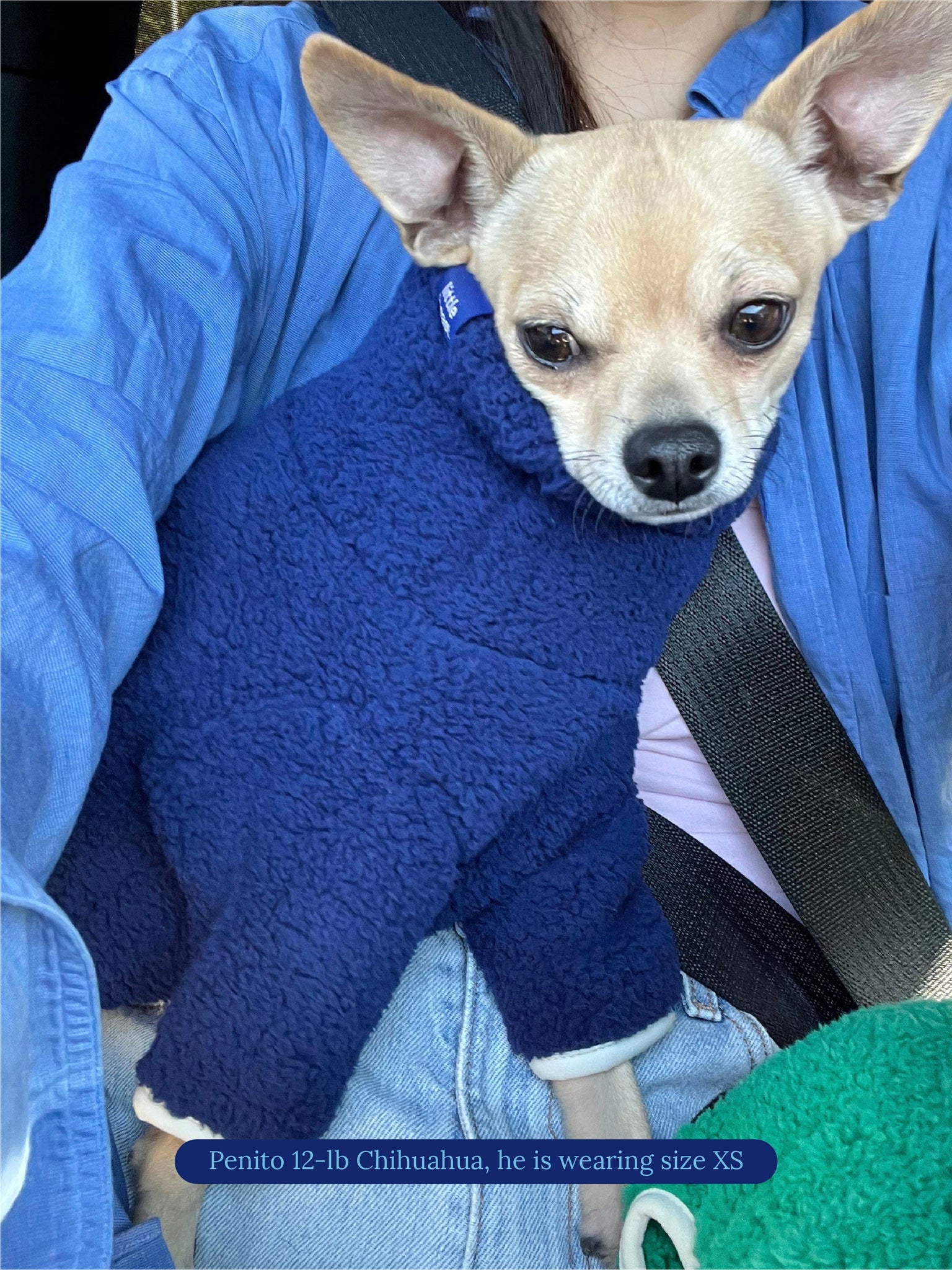 Royal Fleece Onesie – Little Beast
