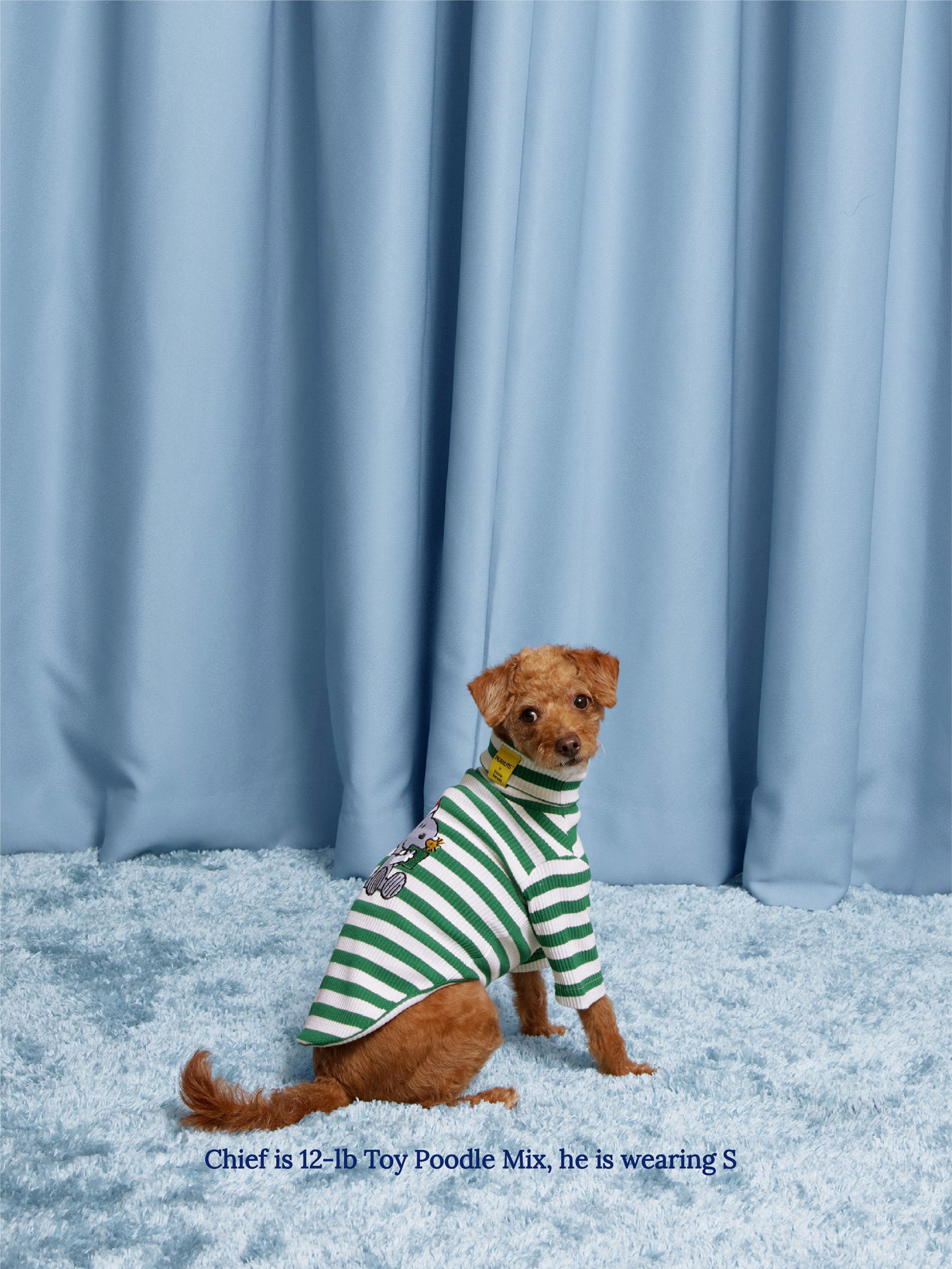 Snoopy Gift Stripe Shirt - PEANUTS – Little Beast