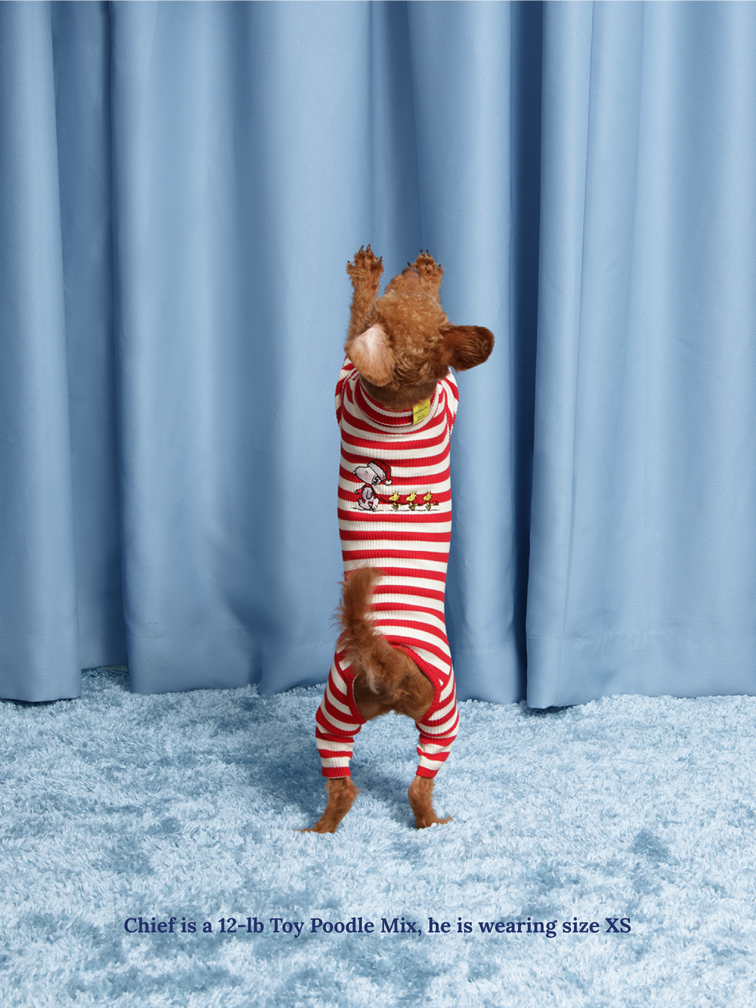 Snoopy & Woodstock Stripe Onesie - PEANUTS – Little Beast