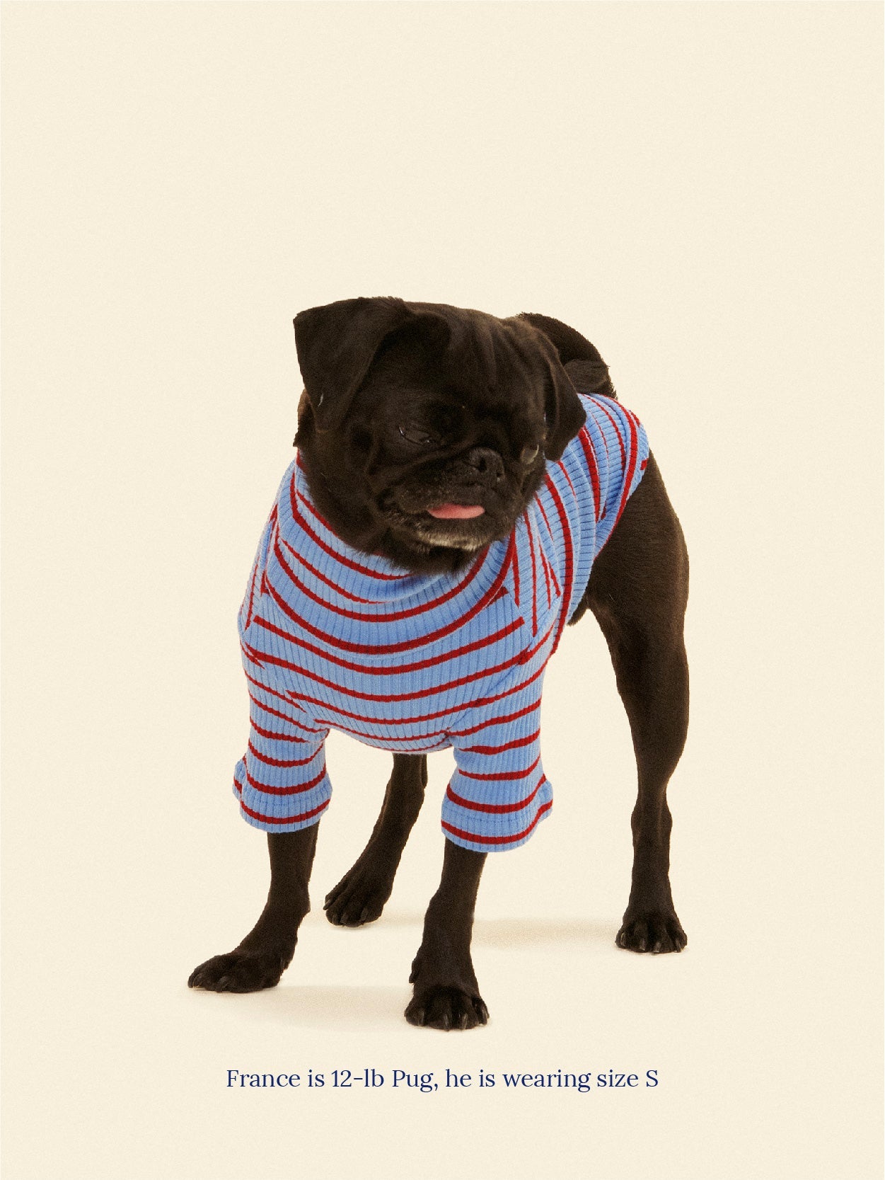 Student Loan Shirt – Little Beast