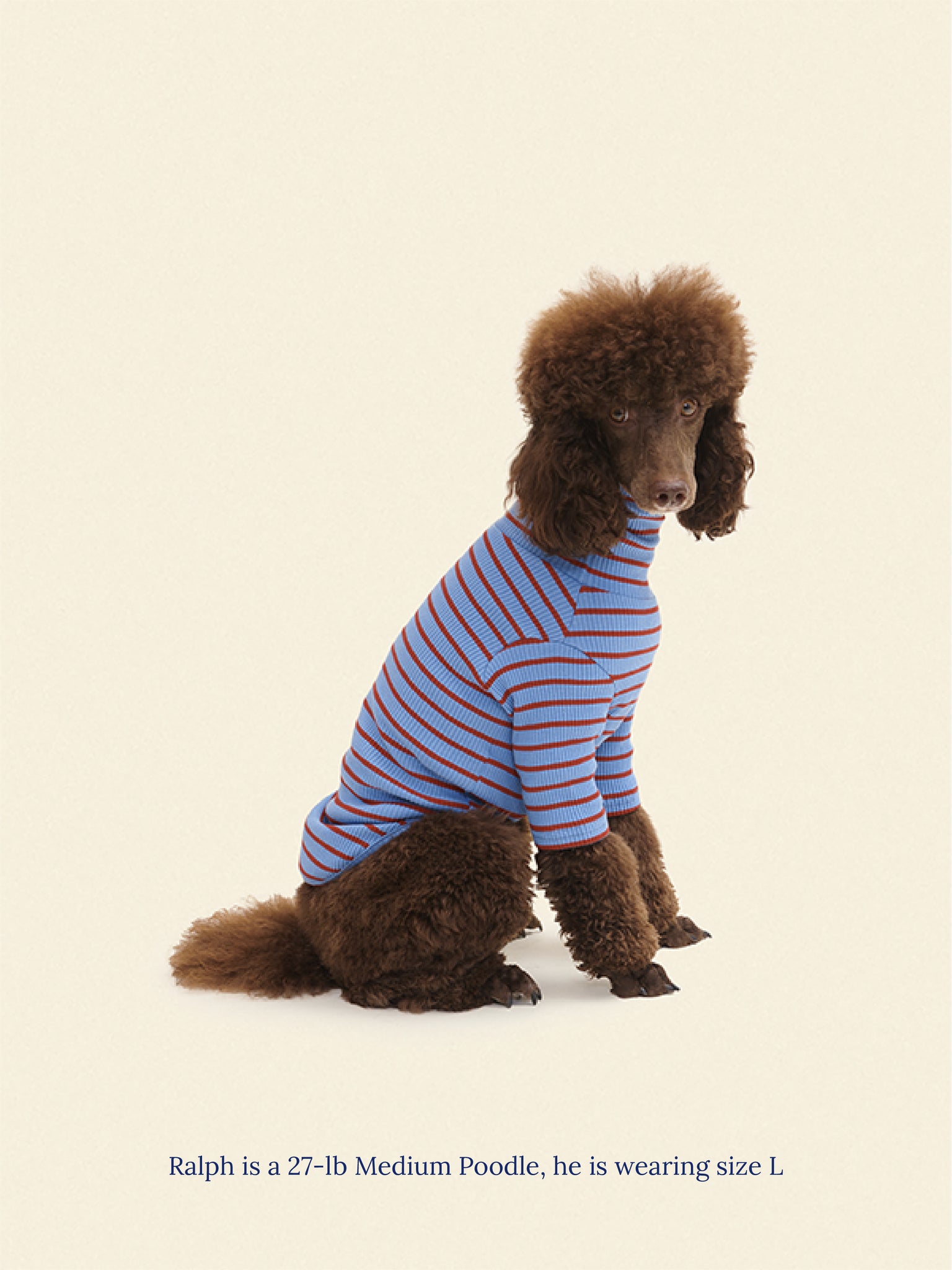 Student Loan Shirt – Little Beast