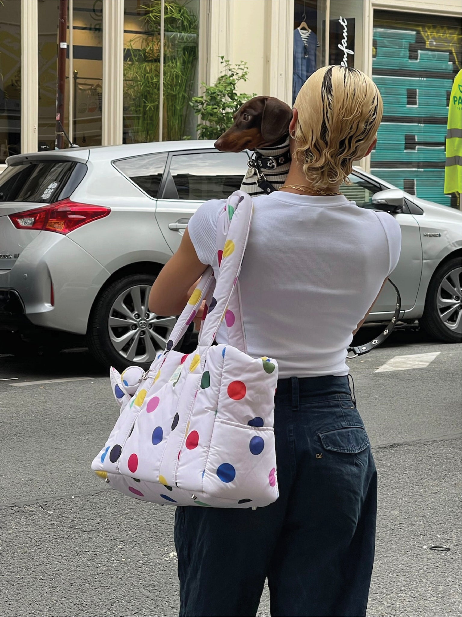 The Little Beast Carrier - Damien