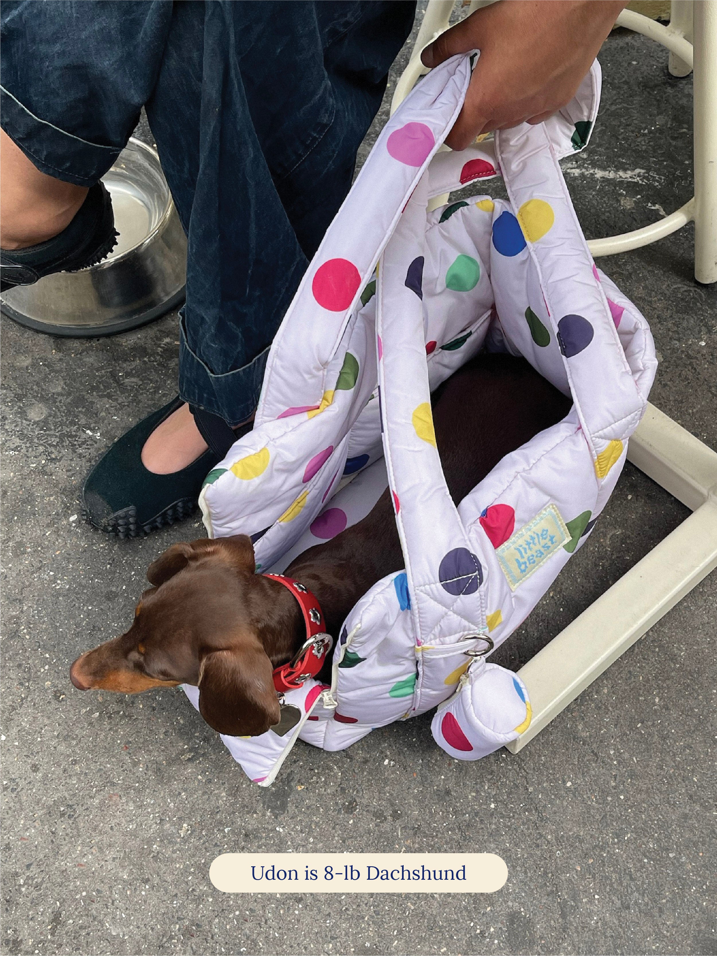 The Little Beast Carrier - Damien