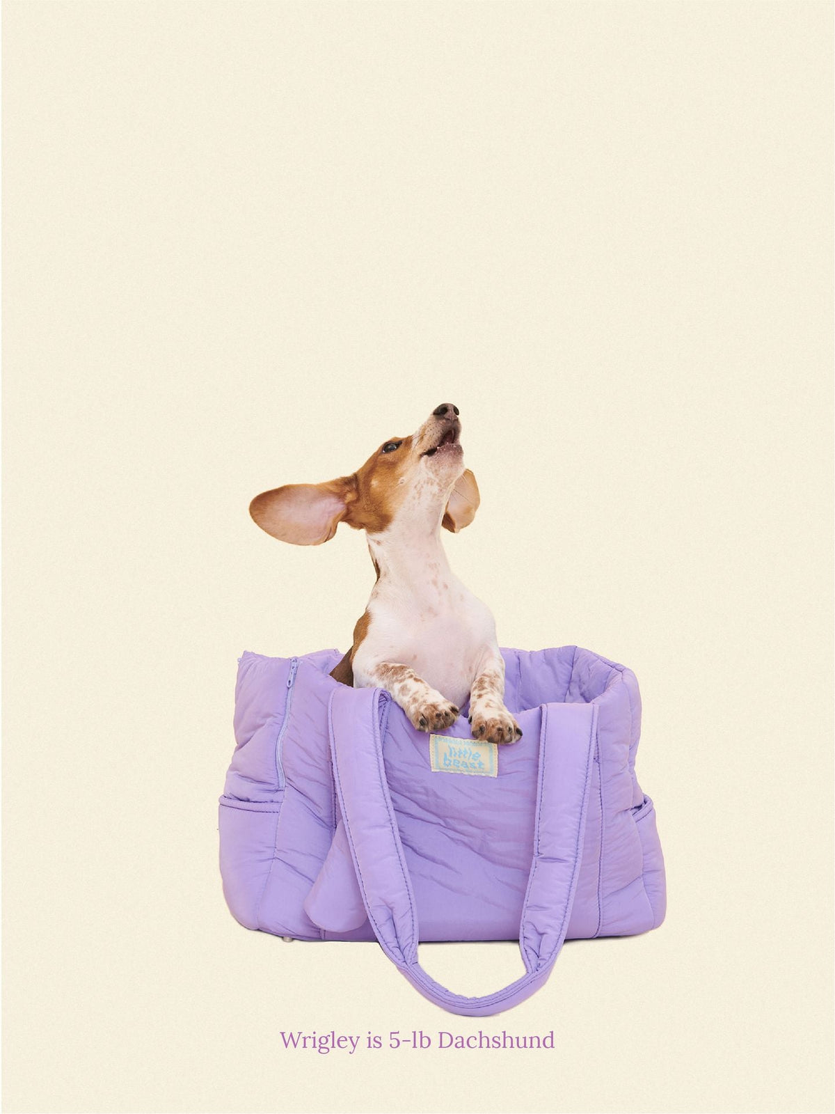 The Little Beast Carrier - Ube