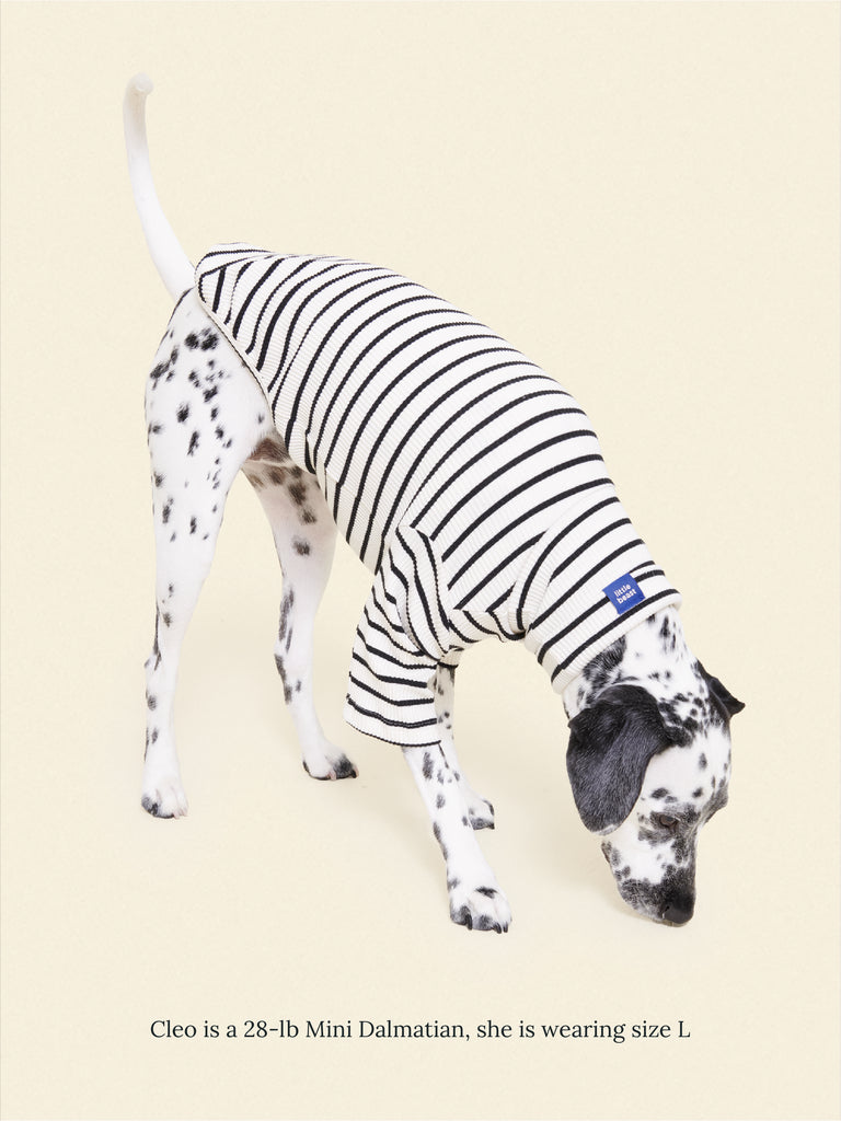 Dog Shirts – Little Beast