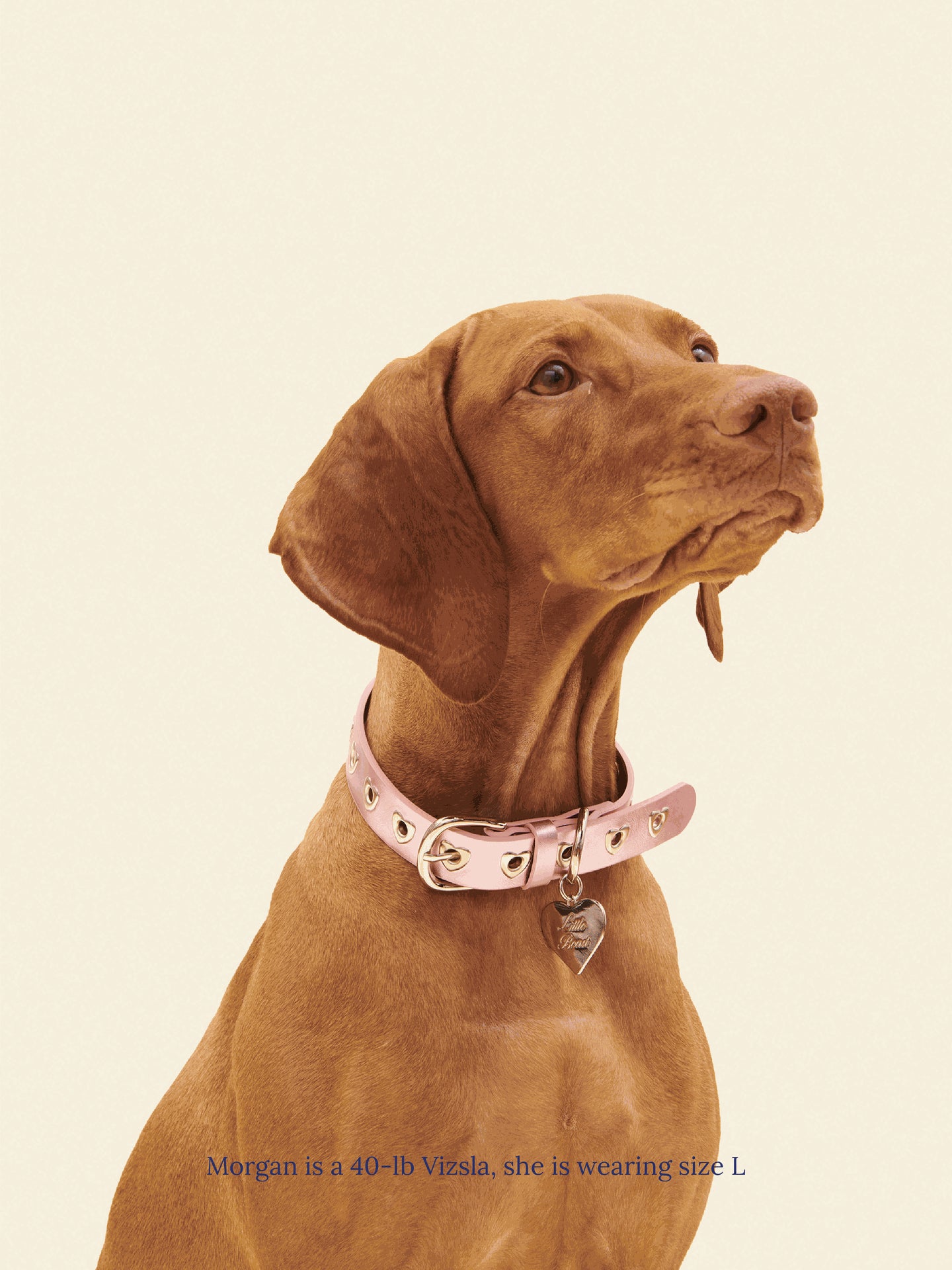 You Mean The World To Me Collar - Metallic Pink – Little Beast