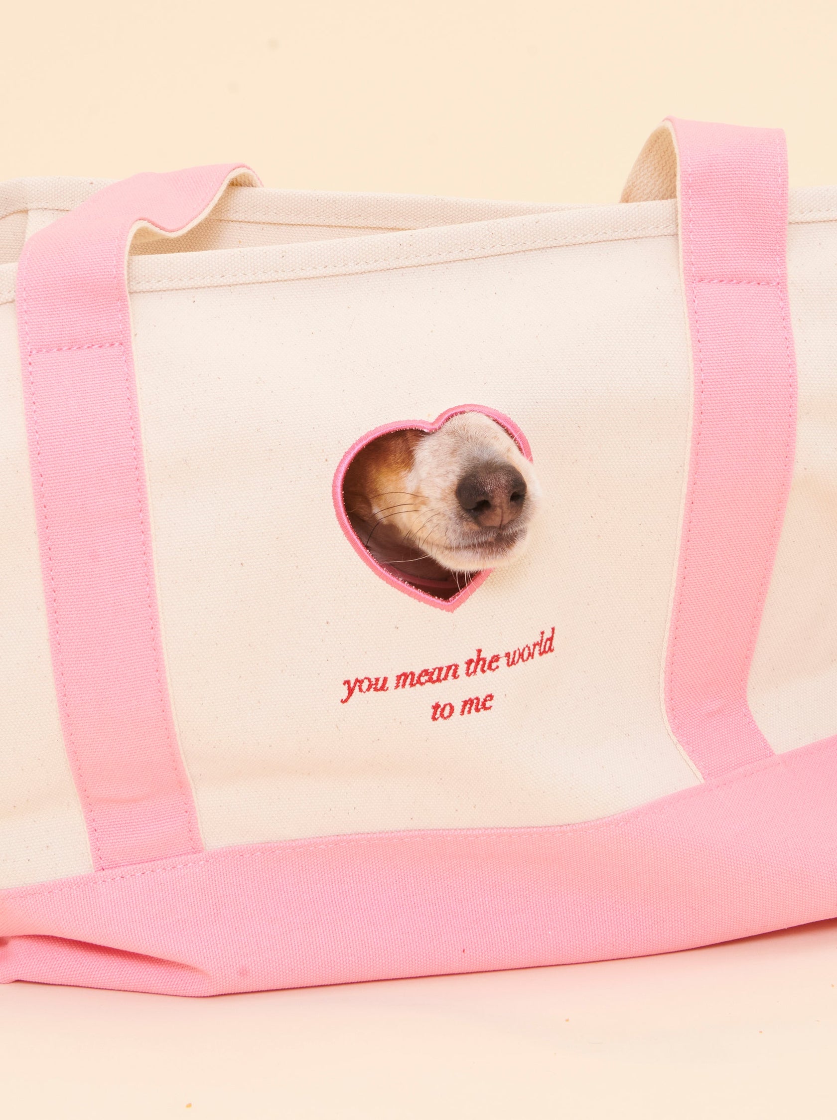 Dog Clothes & Apparel by Little Beast