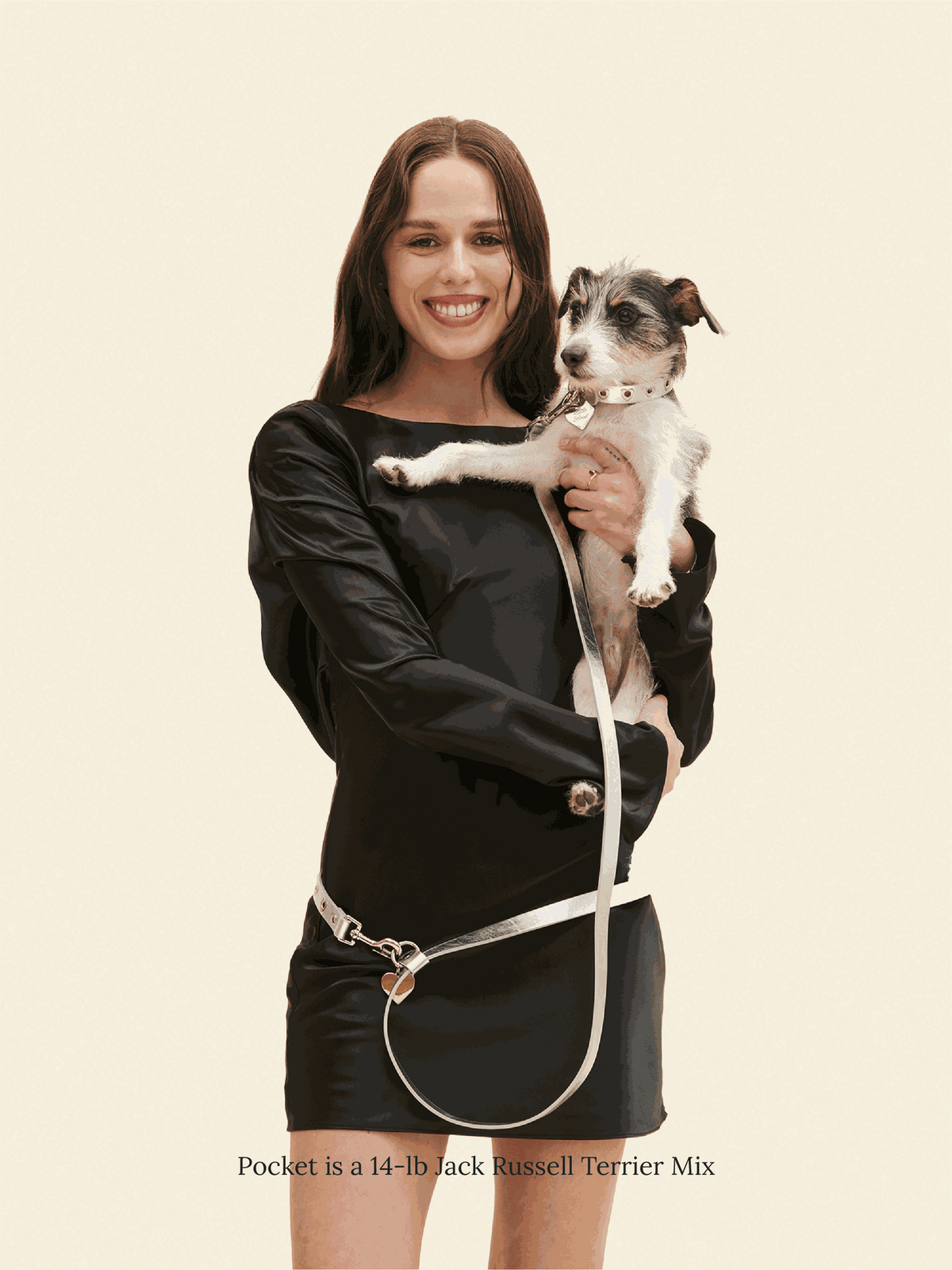 You Mean The World To Me Leash - Silver – Little Beast