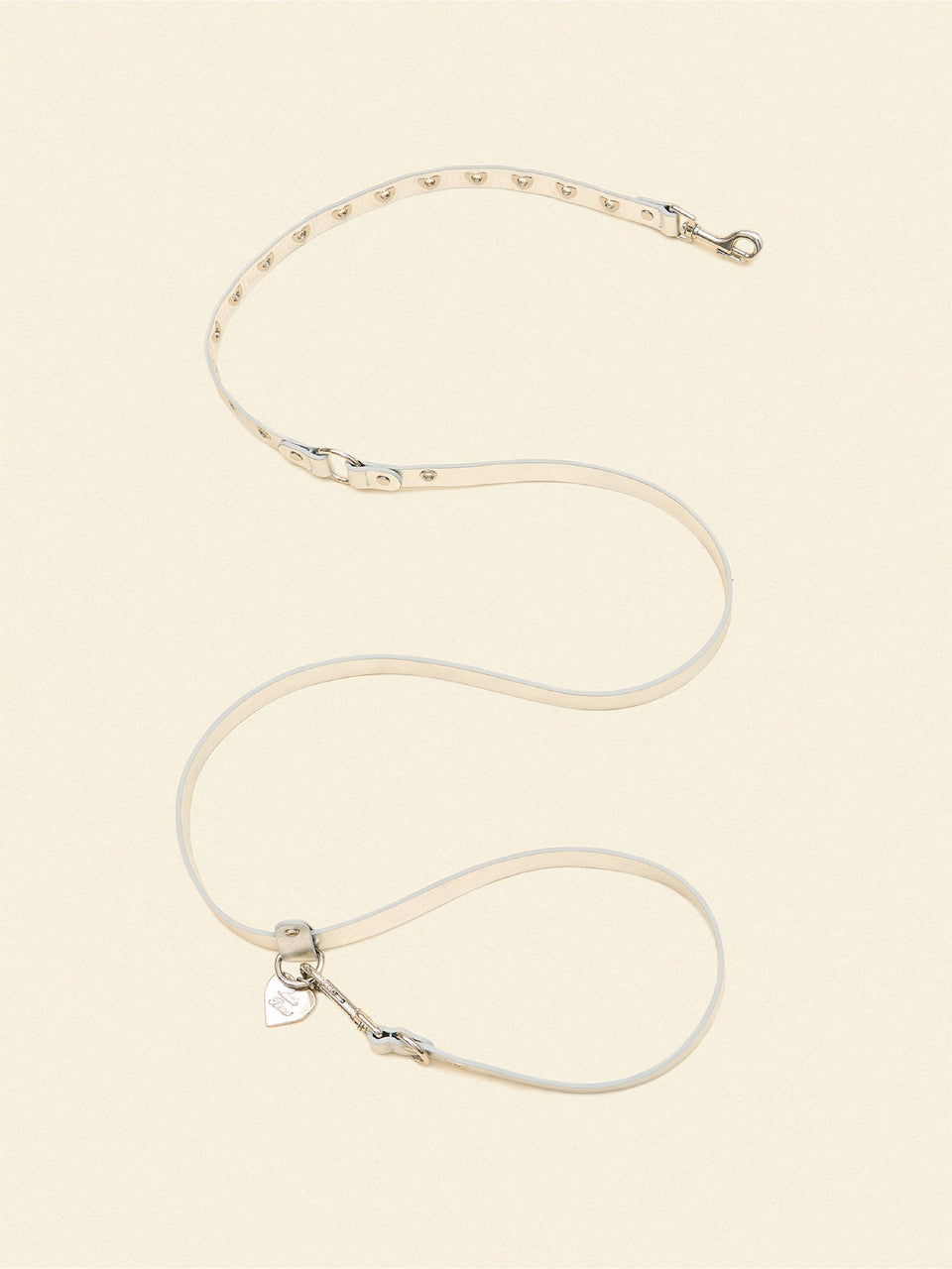 You Mean The World To Me Leash - Silver – Little Beast