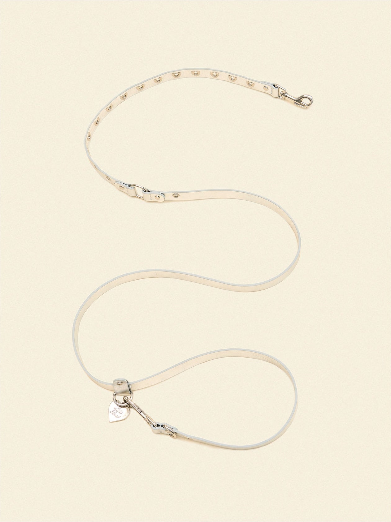 You Mean The World To Me Leash - Silver – Little Beast